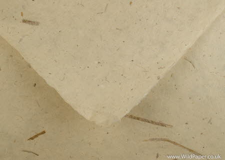 Handmade Artists Paper | Wild Paper handmade paper